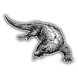 DG Graphics Komodo Dragon Sketch Art Decor 5'' x 3'' Magnet Vinyl Magnetic Sheet for Lockers, Cars, Signs, Refrigerator