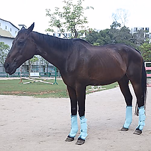 Gallopoff Fly Boots for Horses Set of 4, Breathable Comfy Mesh Horse Leggings Reduce Stomping, Hoof Stress, and Leg Fatigue SkyBlue Cob