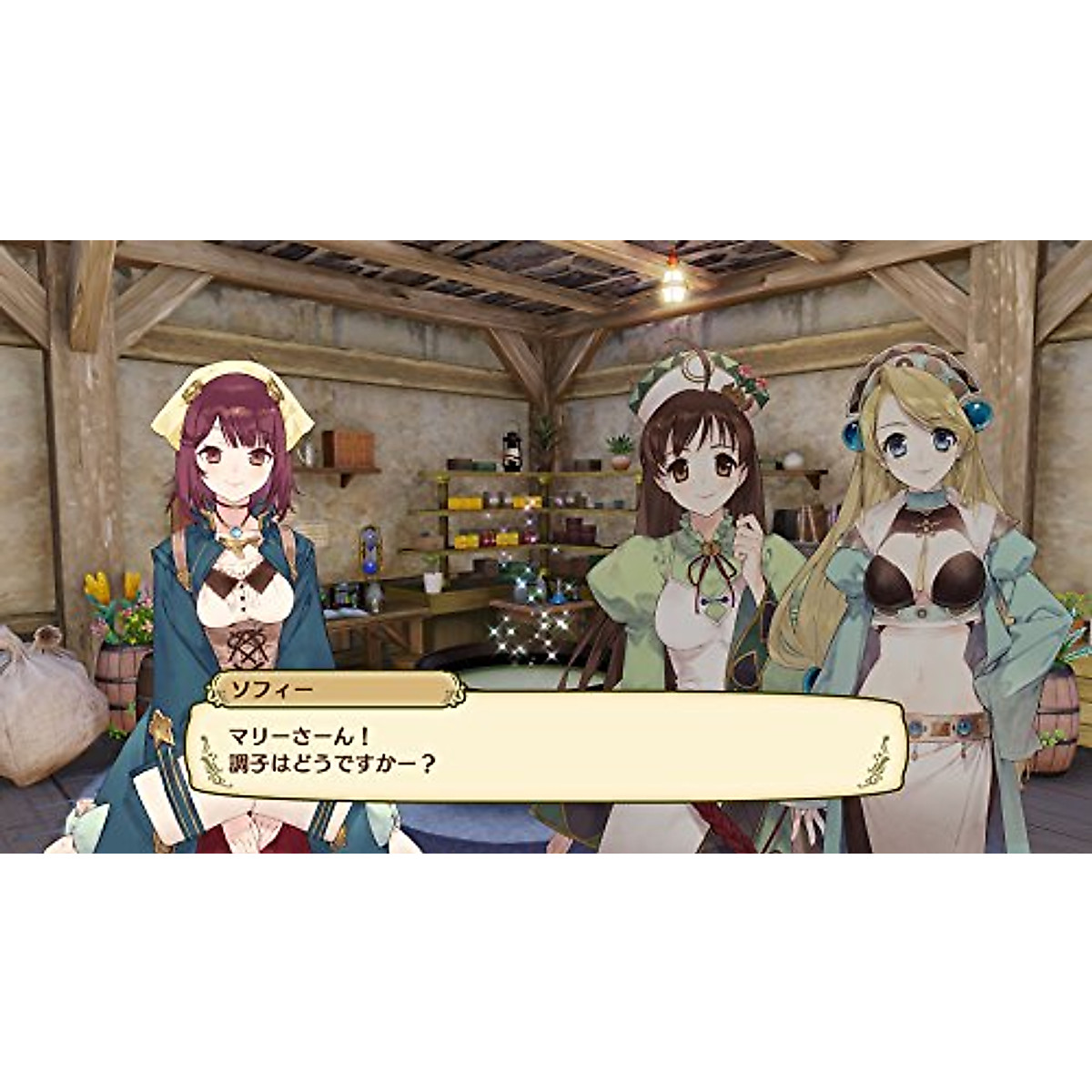 Nelke & The Legendary Alchemists: Ateliers of The New World - Nintendo Switch