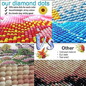 Moon Diamond Painting Kits for Adults,Moon Beach Diamond Art Kits Full Drill Crystal Rhinestone Diamond Embroidery Craft Kits for Home Wall Decor Inch12X16