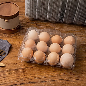 AYAYGD 40 Pack Egg Cartons Cheap Bulk 12 Count,Clear Plastice Bulk Egg Cartons for Chicken Eggs,Reusable Egg Carton for Family,Chicken Farm,Markets Display - Egg Holder, Egg Containers for Fresh Eggs