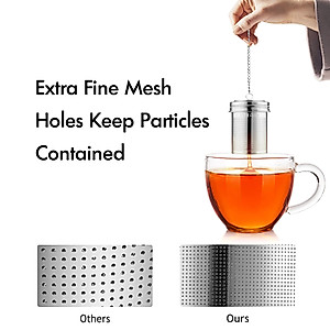 House Again Tea Infuser (2+1 Pack with scoop), Extra Fine Mesh Tea Infuser Set, 18/8 Stainless Steel Tea Strainer with Extended Chain Hook, Tea Steeper for Brew Tea, Spices & Seasonings