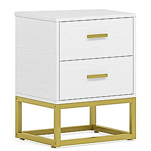 2 Drawer Nightstand, White and Gold NightStands for Bedrooms Modern Side Table