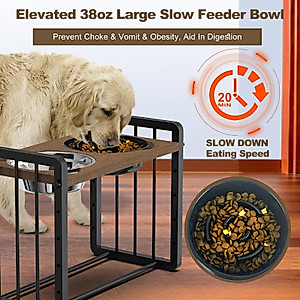 Elevated Non-Slip Metal Raised Dog Bowl Stand - 5 Height Adjustable, Slow Feeder & 2 Thick 54oz Stainless Steel Dog Food Bowls For Medium Large Dogs
