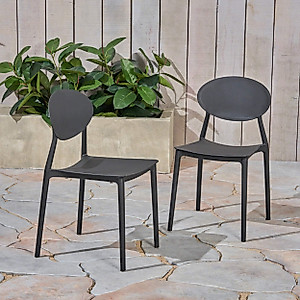 Christopher Knight Home Brynn Outdoor Plastic Chairs (Set of 2), Black