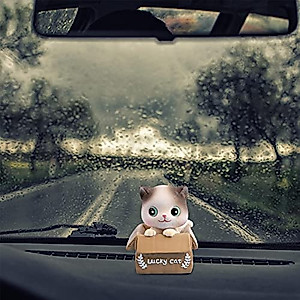 dous Bobbleheads for Car Dashboard Lucky Cat Dashboard Car Ornaments Bobble Head Cat Pet Toy Shaking Head Cat Decor for Car Interior, Automotive Dashboard, Home Desktop