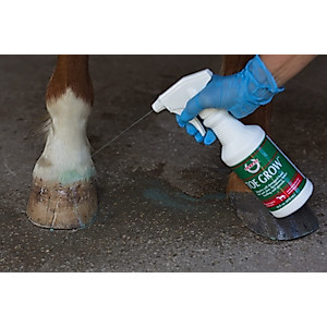 SBS EQUINE Item 416 Toe Grow Hoof Repair Spray, One Size