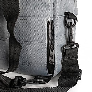 Skunk Raven Backpack (Platinum Gray)