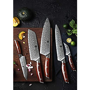 XINZUO 5-Piece Damascus Kitchen Knife Set, 67 Layer High Carbon Stainless Steel Forged Blade,Professional Chef Knife Set with Gift Box,Razor Sharp,Rosewood Handle - Yi Series