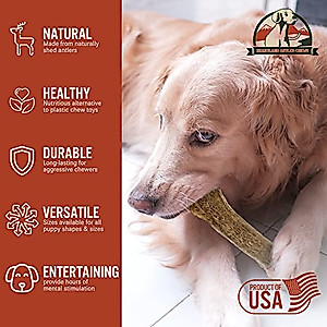 Elk Antlers for Dogs - Grade A, Naturally Shed Antlers | Long Lasting Dog Bones for Aggressive Chewers & Teething Puppies | All Breeds Chew Toy USA Made & Veteran Owned | Large: 7" Whole Elk, 1-Pack