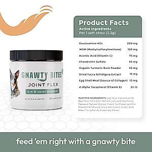 Gnawty Bites Joint Flex | Dog Hip & Joint Support Supplement for Mobility & Advanced Joint Health with Glucosamine Chondroitin MSM, Turmeric, Dog Joint Supplement,120 Soft Chews