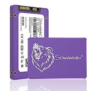 Somnambulist SSD SATAIII Hard Drive 2.5 SSD 120GB 480GB 512GB Hard Drive Internal Solid State Drive (Purple Bear Head 240GB)