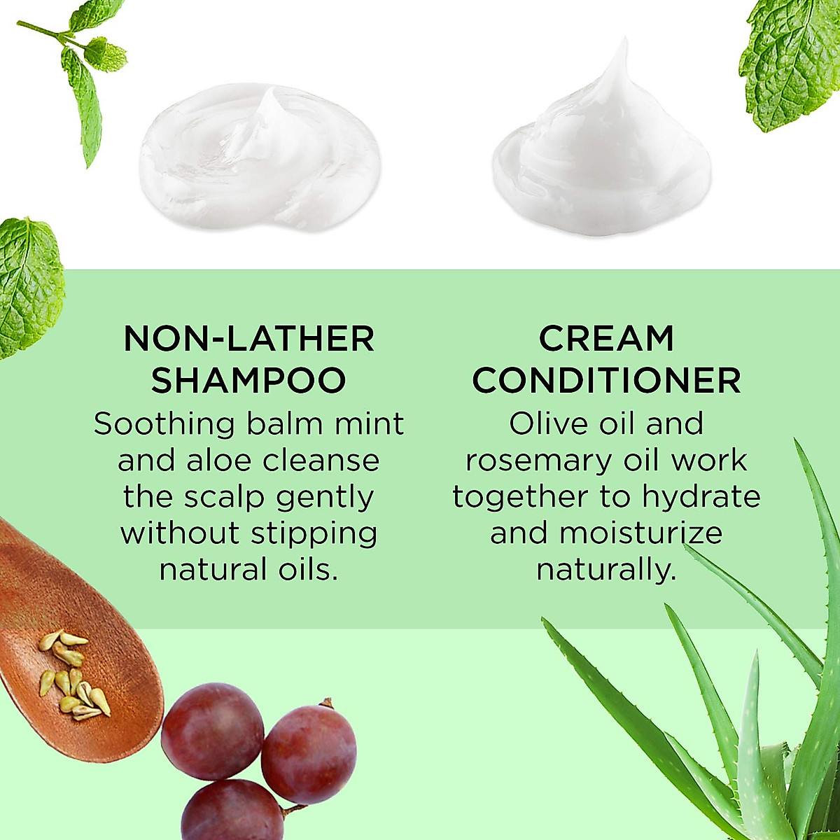 True Curl Shampoo and Conditioner Set, 12 oz