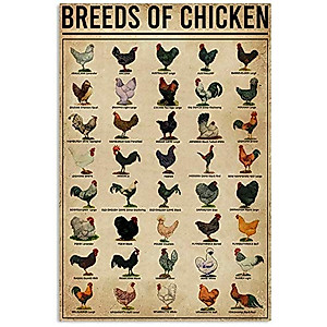Eeypy Breeds of Chickens Poster Wall Art Home Decor Vintage Metal Tin Signs Coffee Shop Plate Iron Painting Warn Retro Novelty Funny Humorous Bar Pub Restaurant Kitchen Tin Sign Wall 8x12 Inch Mix011