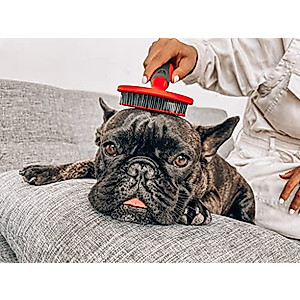Tuff Pupper Round Bristle Soft Brush for Dogs and Cats | Gentle Grooming for Short or Long Hair | Soft Pin Tool for Sensitive Skin | Detangle & Remove Loose Fur | For Dematting & Detangling Undercoat
