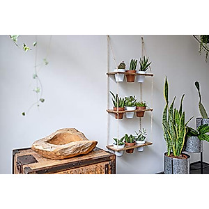 kimisty Wall Hanging Herb Planters, 3 Tiered Vertical Planter Shelf with Metal Pot Set, Indoor Garden, Wood Herb Garden for Kitchen, Vertical Hanging Planters Wall Hanging - Terracotta & White Pots