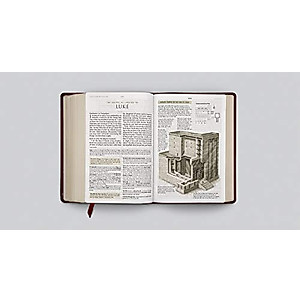 ESV Study Bible, Large Print (TruTone, Mahogany, Trellis Design)