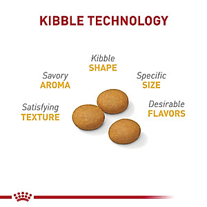 Royal Canin Large Sensitive Skin Care Dry Dog Food, 30 lb bag