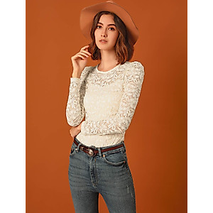 Allegra K Women's Long Sleeve Lace Top Mesh Sheer Fitted Elegant Blouse X-Large Beige