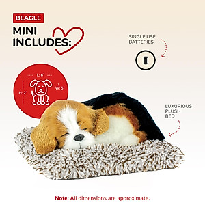 Mini Beagle, Realistic, Lifelike Stuffed Interactive Plush Toy, Electronic Pets, Companion Pet Puppy with 100% Synthetic Fur – Perfect Petzzz