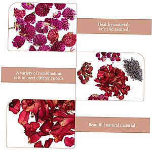 SEWACC 2pcs 5 Dried Flowers Edible Flowers for Drinks Dry Lavender Flowers Rose Petals for Bath Dried Lavender Flower DIY Pressed Flower Pressed Flowers Head DIY Kits Scrapbook Aromatic
