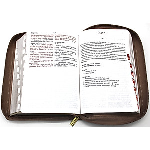 Biblia para Mujeres Reina Valera 1960 Letra Gigante de 14 Puntos Tamano Manual con Cierre y Indice Semil Piel Color Rosa Perla con Dorado Edicion Limitada