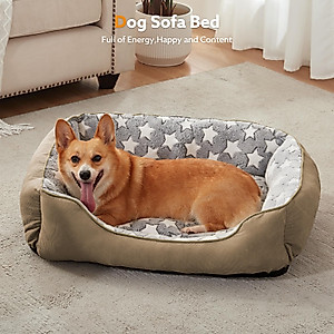 SIWA MARY Dog Bed for Small Dogs, Rectangle Small Dog Bed,Cat Beds for Indoor Cats, Orthopedic Dog Bed,Washable Dog Bed for Puppy and Pet with Non-Slip Botttom, Comfort&Calming S (20"x 19"x 6") Brown