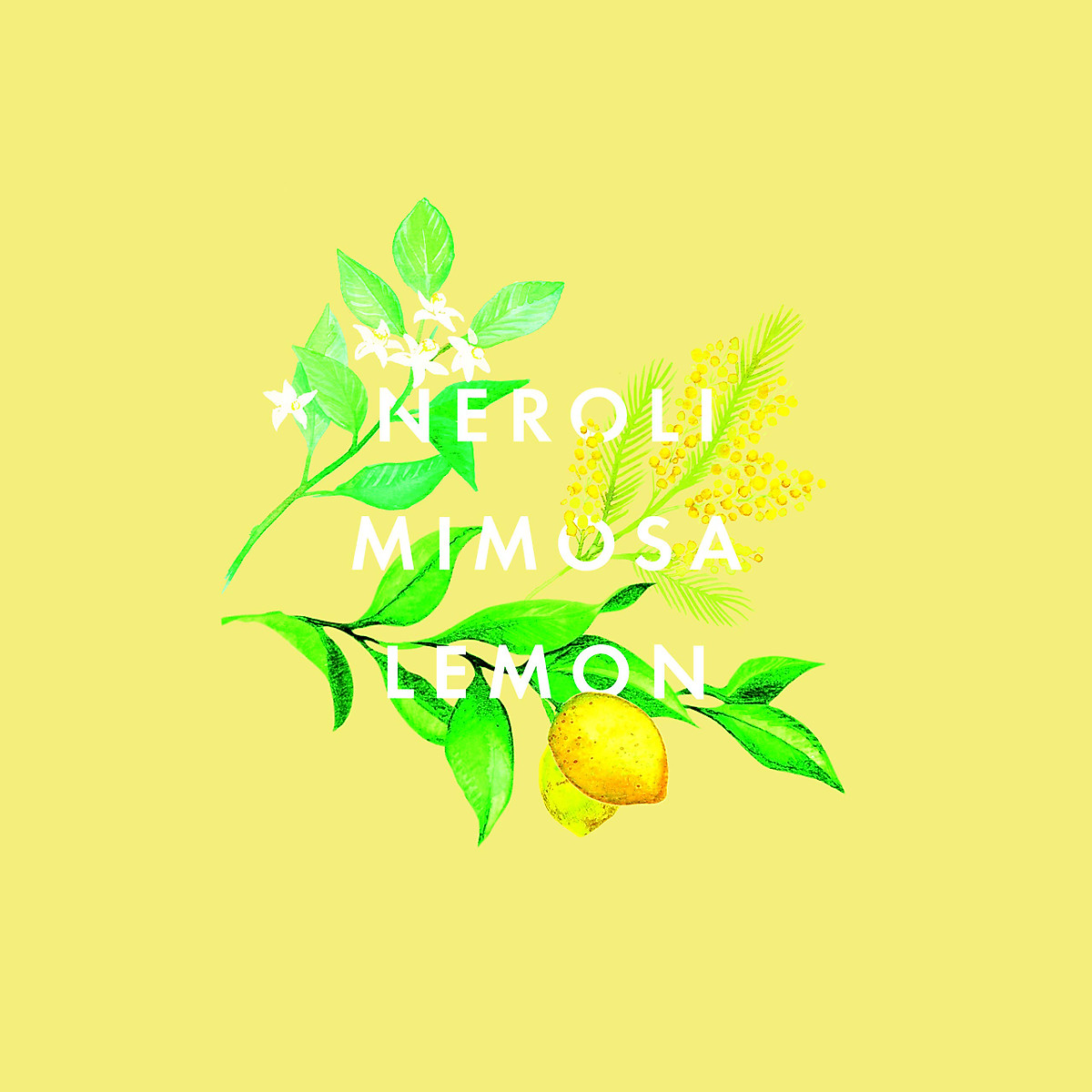 NEOM Happiness Reed Diffuser, 3.38fl oz | Uplifting Scent | Neroli, Mimosa & Lemon Essential Oil Blends| 100% Natural Fragrance | Scent to Make You Happy…