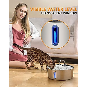STN Cat Water Fountain 118oz/3.5L Stainless Steel Cat Fountain with Water Level Window,Ultra-Quiet and Durable Pump,3 Replacement Filters