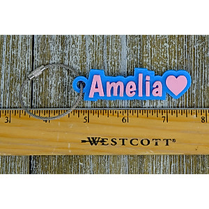 Fun Personalized Water Bottle and Bag Name Tag Whimsy Font, Hard Plastic Luggage Label Custom Nametag