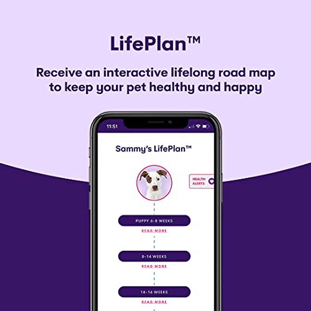 Orivet Genopet Dog DNA Test | Dog Breed Test Kit, Genetic Testing, Heritable Health Risks and Life Plan