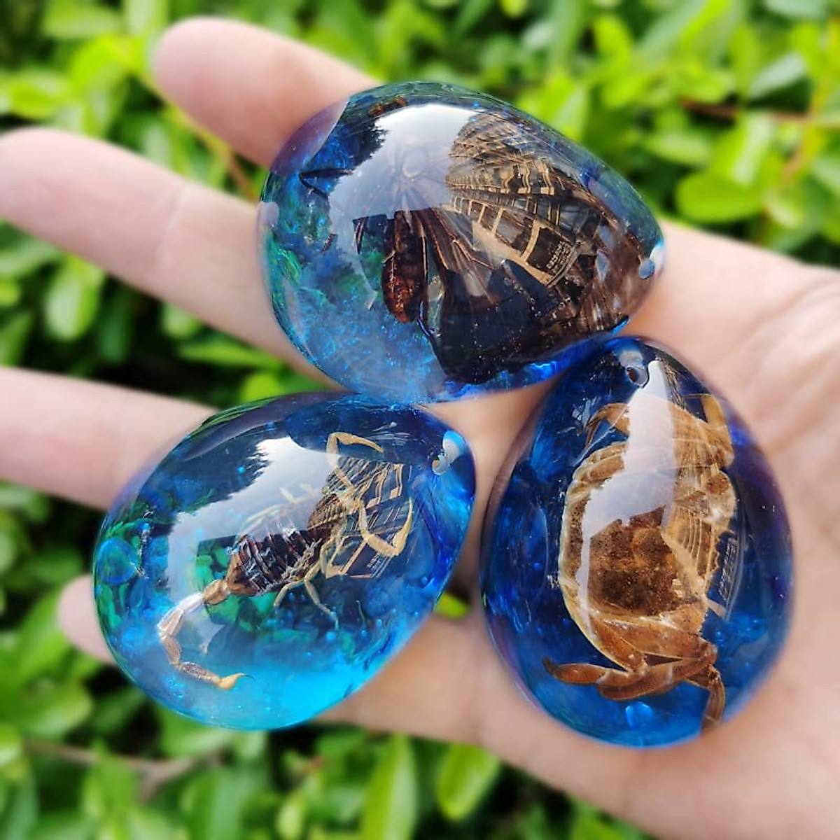 Colourful Amber Fossil Insect Artificial Amber Insect Specimen Pendant Amber Stone Ornament for Collection,Science Education (12 PCS)