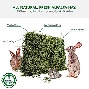 Viking Farmer Alfalfa Hay for Rabbits & Small Pets, 5 lbs