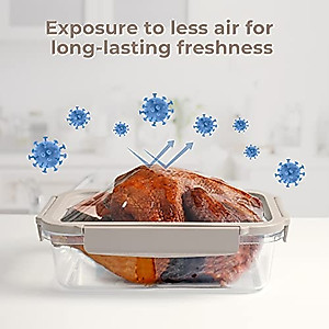 DeliOne Food Storage Containers with Stretchable Lid, Flex 'n Fresh Meal Prep Boxes, Sandwich Case BPA Free, Leakproof, Airtight, Freezer, Microwave and Dishwasher Safe (4 piece Clear)