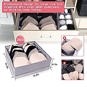 Jay-Chi Bra Underwear Organizers Dresser Drawers - Large Foldable Closet Underwear Organizers Dividers Washable Fabric Storage Box for Bra 2 Set Grey