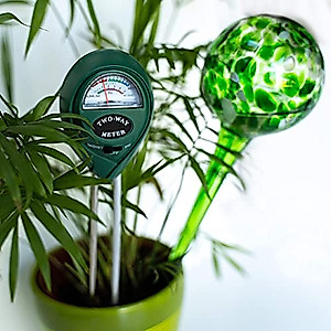 Cotswold Homeware Co Plant Watering Globes - Plant Watering Devices - Plant Watering Bulbs - Self Watering Spikes -Decorative Hand Blown Glass - Watering Bulbs - Free Moisture Meter 4 Large Size