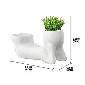 Lincox Mini Bonsai Head Grass Doll Hair White Ceramic Plant Garden, Tree Doll Grass Pot, Ceramic Air Head People Planters Air Plant Holders Table Top Display Planters for Mini Plants Garden Decor (C)