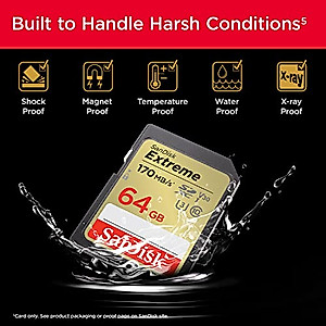 SanDisk 64GB Extreme SDXC UHS-I Memory Card - C10, U3, V30, 4K, UHD, SD Card - SDSDXV2-064G-GNCIN