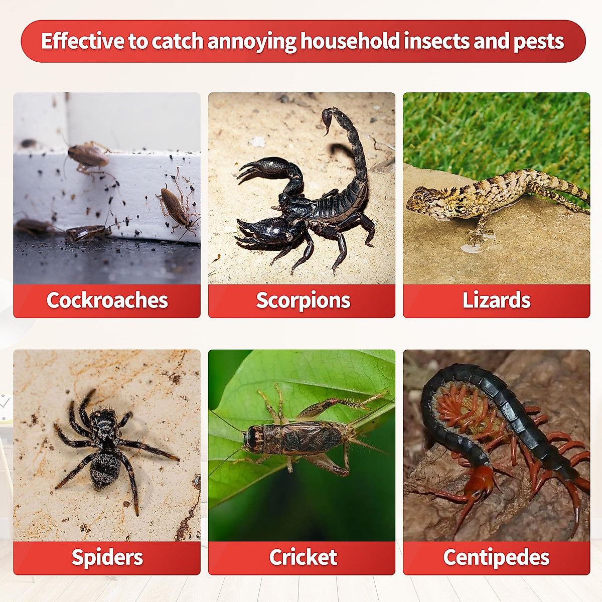 LULUCATCH Spider & Insect Glue Traps,12 Pack Pre-baited Sticky Glue Boards, Foldable Non-Toxic Bulk Spider Cricket Traps, Adhesive Bug Catcher Traps Indoor for Cockroach, Scorpions, Flea, Centipedes