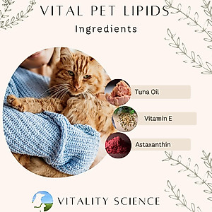 Vitality Science Flex N Free + Vital Pet Lipids for Dogs | 2 Part Program | Promotes Bone Development & Joint Health | Relieves Stiffness | Neurological & Hormonal Support | 100% Safe (Large)