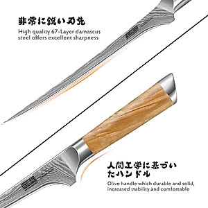 HOSHANHO 7 Inch Damascus Fillet Knife, Professional VG-10 Super Steel Japanese Boning Knife, Ultra Sharp Fish Knife with Ergonomic Olive Wood Handle