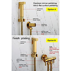 yghlh Toilet Bidet Sprayer Hand Held Douche Kit Shiny Gold Bathroom Cleaner Shower Head (Color : E)