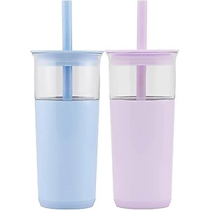 REDUCE Aspen Insulated Glass Tumbler, 20 Oz, 2-Pack (Glacier Blue/Lilac Bud)