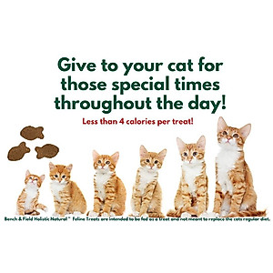 Bench & Field Holistic Natural Healthy Kitty Cat Treats | Crunchy Fish-Shaped Bites | Delicious Seafood Flavored Snack, 3-Ounce (Pack of 2 Bottles)