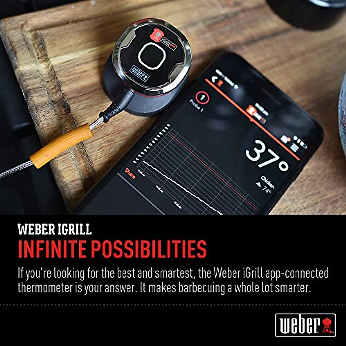 Weber iGrill Mini