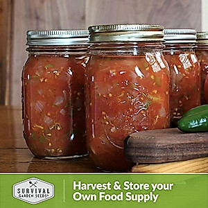 Survival Garden Seeds - Hillbilly Tomato Seed for Planting - Packet with Instructions to Plant and Grow Uniquely Colored Potato Leaf Tomatoes in Your Home Vegetable Garden - Non-GMO Heirloom Variety