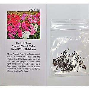 David's Garden Seeds Flower Phlox Annual Mixed Color (Multi) 200 Non-GMO, Heirloom Seeds