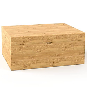 ALIVE CENTRAL Bamboo Wooden Box with Hinged Lid - Natural Keepsake Wood Box for Storage with Magnetic Lid - 10x8x4 inches