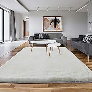 Asvin 5x7 Area Rug, Fluffy Living Room Area Rug, Luxury Large Area Rug, Non-Skid Fleece Carpets for Bedroom Home Décor, Soft Plush Furry Rug for Kids Room, Washable Floor Rug (5x7 Feet, White)