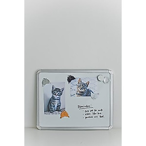 Pearhead Cat Bum Kitchen Magnets, Pet Themed Refrigerator Magnets, Cat Lover Home Décor, Funny Novelty Gift, School Locker Accessories, Set of 4